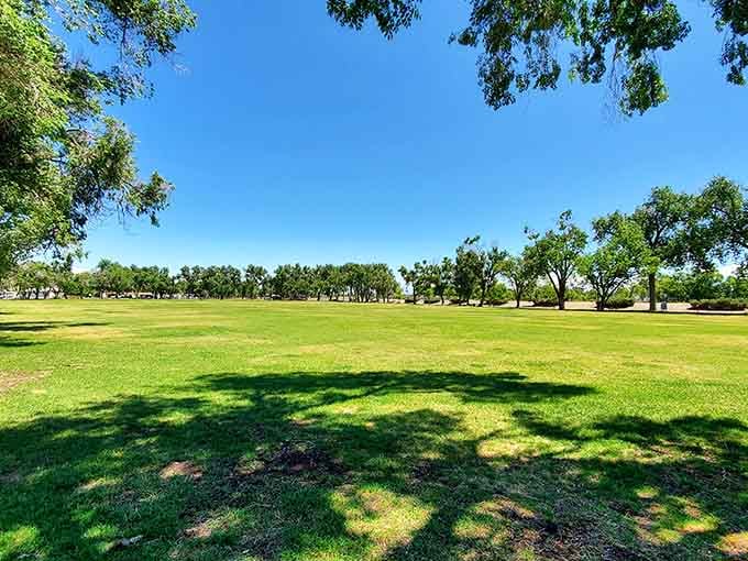 Cole Park's sprawling green lawn under a Colorado sky is basically nature's version of a deep exhale.