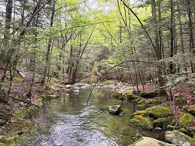 Mountain streams don't care about your schedule&mdash;they'll keep babbling their ancient stories whether you stop to listen or not.