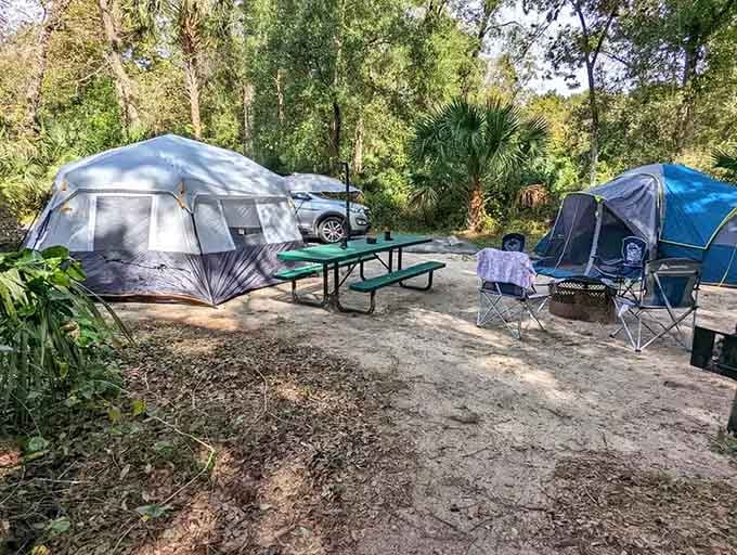 Camping here means waking up steps from paradise. Your morning commute has never looked this good.