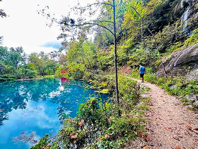 Walking this trail beside the spring pool feels less like hiking and more like a gentle dream.