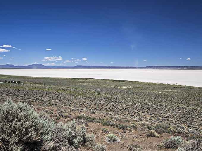 The playa's edge reveals where sagebrush meets salt flat, nature's property line drawn with geological precision and zero fencing required.