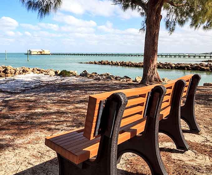 That wooden bench under the shade tree isn't just seating, it's a front-row ticket to the most peaceful pier view on the Gulf Coast.