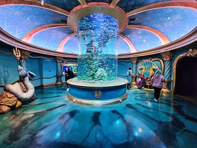 A towering cylinder of fish, color, and wonder, proof that Missouri has absolutely no business being this cool.