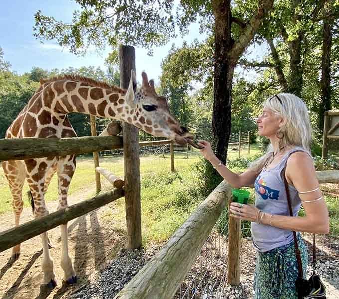 When a giraffe eats from your hand, suddenly every other Tuesday feels wildly inadequate by comparison.