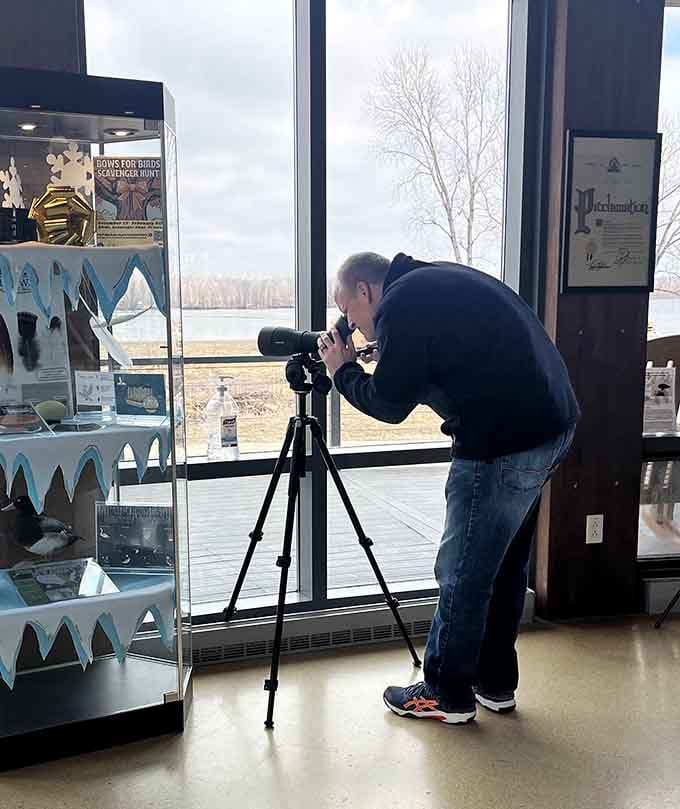 Floor-to-ceiling windows turn bird watching into a spectator sport, minus the overpriced concessions and parking nightmares.