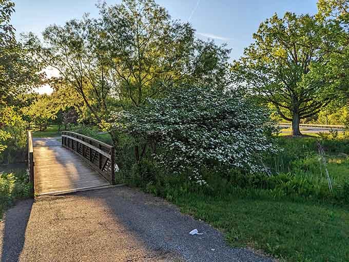 A wooden footbridge, golden hour light, and blooming trees. Ohio didn't have to do all this, but here we are.