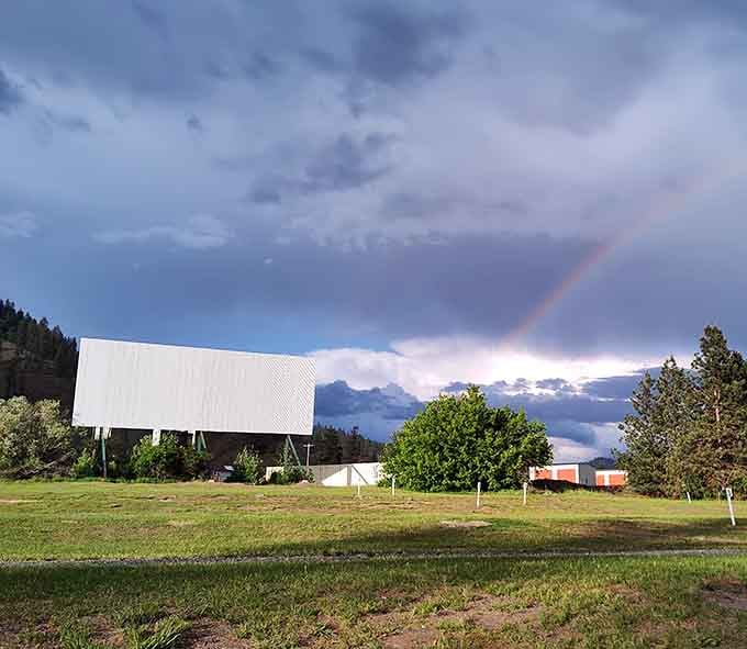 A rainbow over the Auto Vue screen is the universe's way of saying you made the right call today.