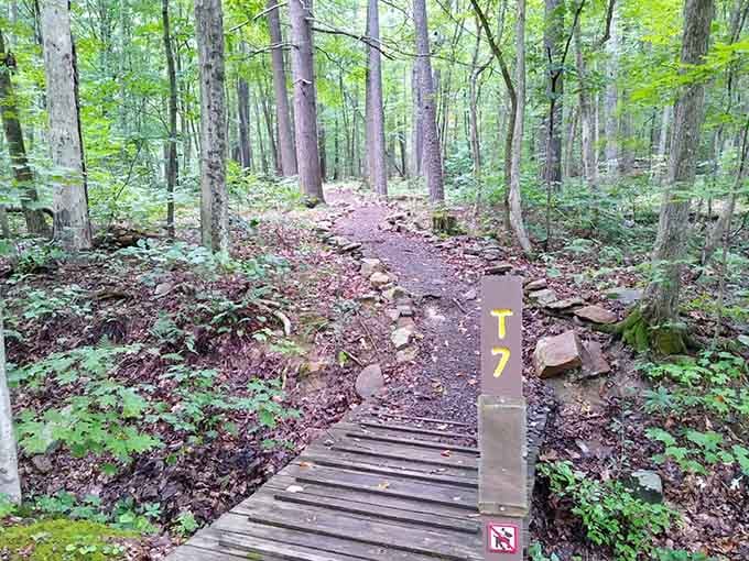 Trail marker T7 means you're exactly where you should be, deep in the woods and completely off the grid.