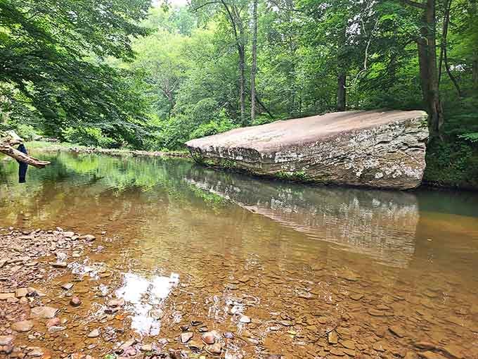 Water this clear deserves its own travel agent. Spring Creek is absolutely showing off.