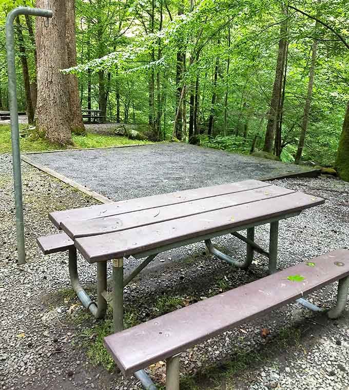 This picnic table has hosted more good conversations than most restaurant booths ever will.