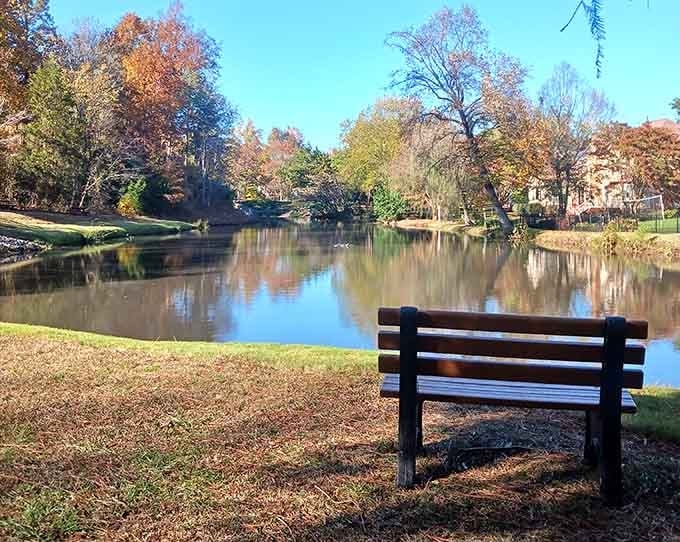A lone bench sits beside a glassy autumn pond, practically whispering, "Sit down, slow down, breathe."