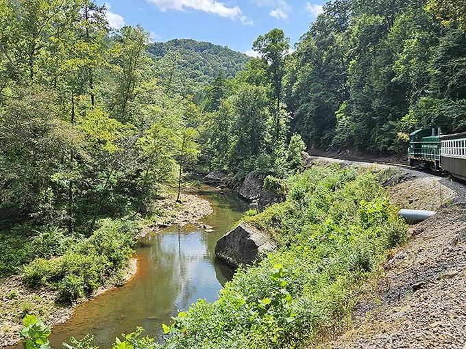 Paunch Creek winds below as the train hugs the hillside, nature putting on a show nobody asked for but everyone needed.