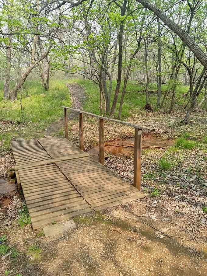 This little wooden footbridge is basically nature's way of saying, "Trust me, keep going, it gets better."
