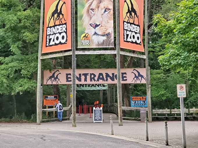 That lion banner means business. The bold orange entrance at Binder Park Zoo sets the mood perfectly.