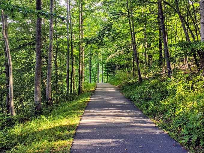 A paved trail disappears into a tunnel of green, practically begging you to follow it and see what's next.