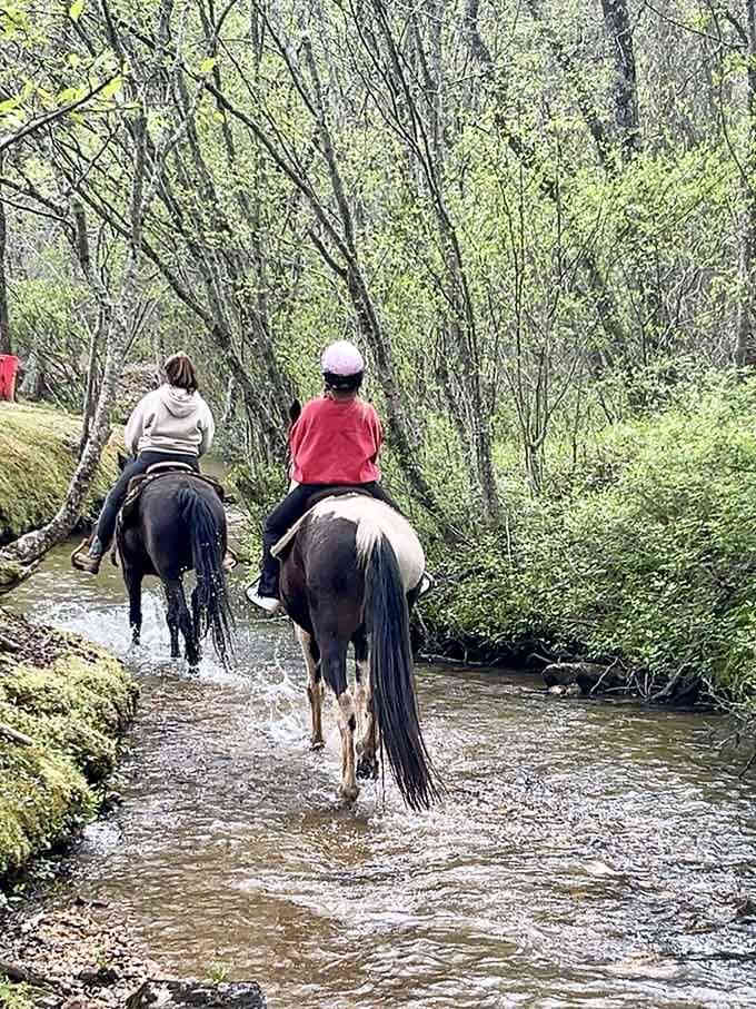 Your horse doesn't need a GPS. It already knows the best route through this creek.