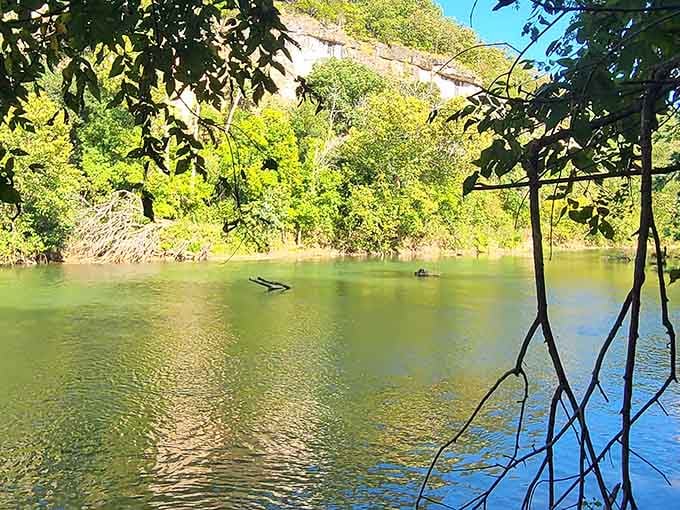 Peer through the lush green branches to admire the calm, sunlit waters flowing gently past the scenic rocky bluffs.