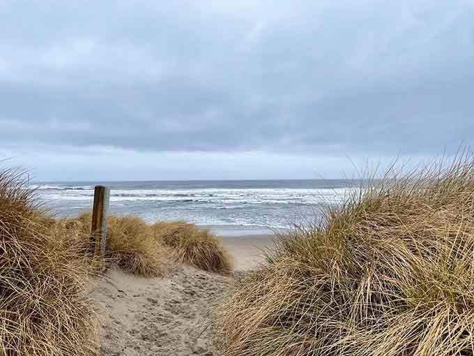 Every great adventure starts with a path through the dunes. This one leads somewhere genuinely unforgettable.