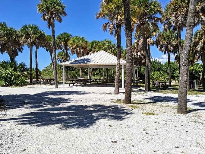 Gasparilla Island State Park offers shade, serenity, and the kind of picnic spots that make you reconsider indoor dining.
