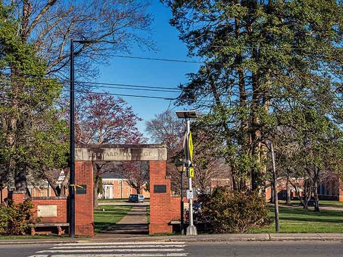 Brevard College's brick gateway frames a campus where white squirrels roam freely daily.