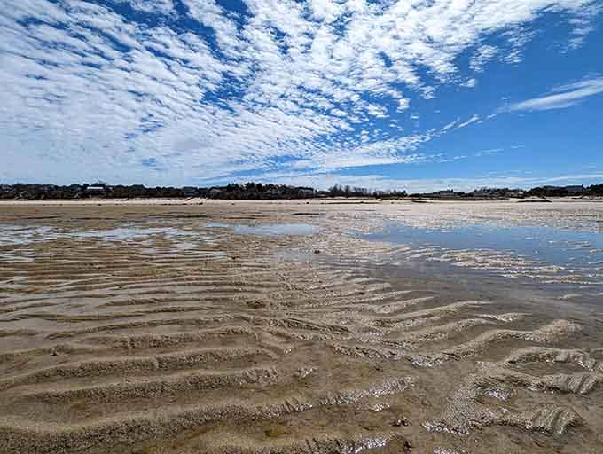 Those ripple patterns in the sand aren't art installations. Nature did this, and she's very proud of herself.