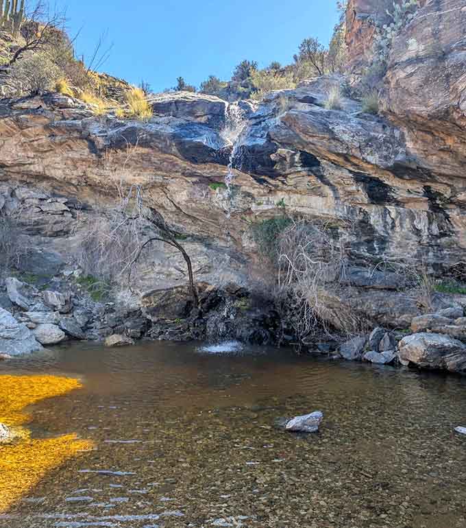 That amber-tinted pool surrounded by smooth boulders is basically nature's infinity pool, minus the resort fees and crowded loungers.