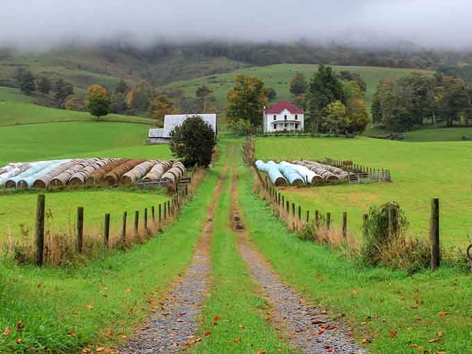 Those gravel paths lead to farmhouses that look like they've been here since before mountains had retirement plans.