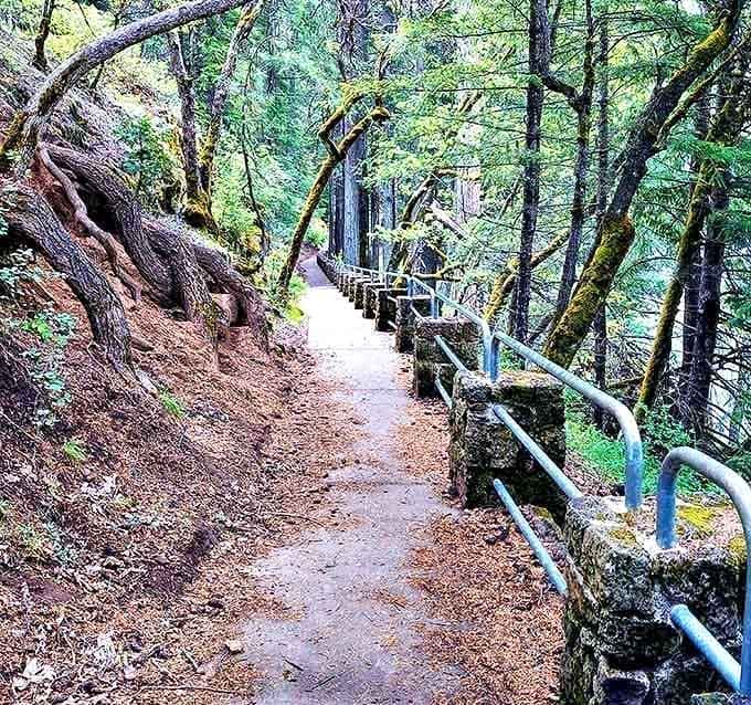 Even the path to the falls is gorgeous, stone walls, forest canopy, and zero excuses not to walk it.