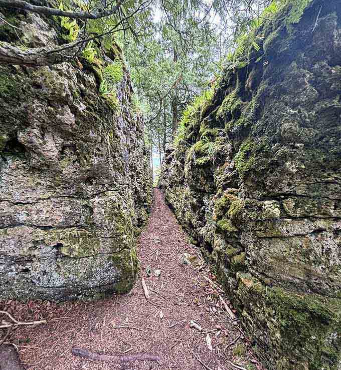Squeezing through this narrow limestone passage on the Narnia Trail feels genuinely cinematic.