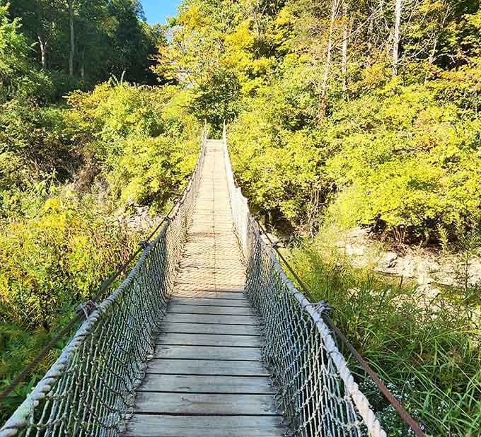 This swinging bridge will make your heart race and your inner ten-year-old absolutely thrilled.