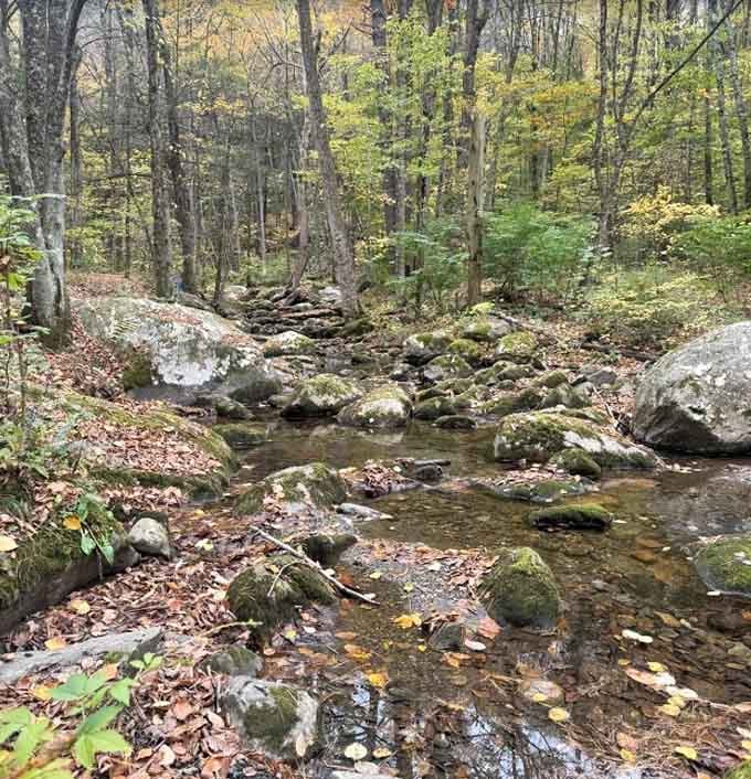 This rocky stream isn't just pretty scenery. It's nature's own soundtrack playing the whole way to the waterfall.