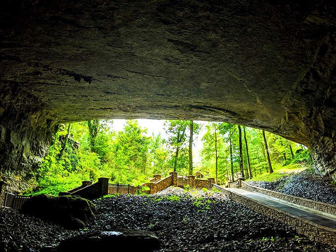 Looking out from inside feels like peering through nature's own picture frame into another world.