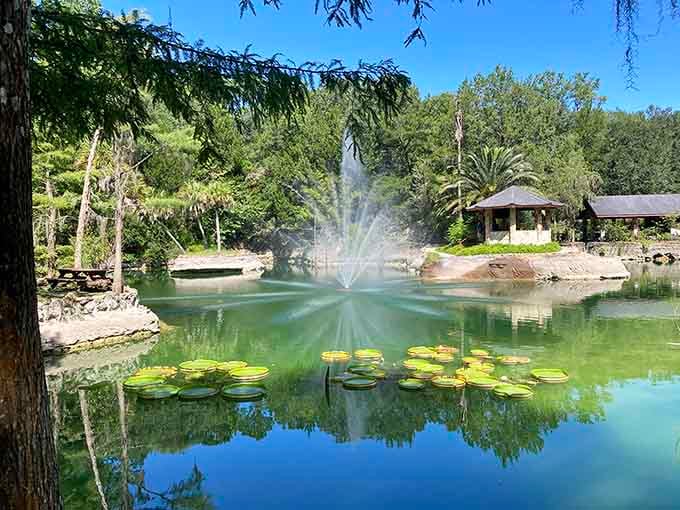 Giant lily pads, a dancing fountain, and a reflection so perfect it looks digitally enhanced.
