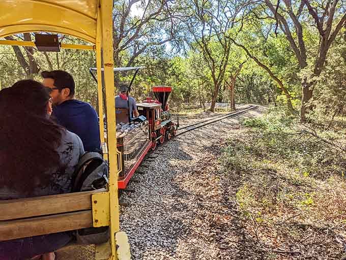 The view from your seat beats any highway commute, trading traffic jams for tree-lined tranquility and fresh air.