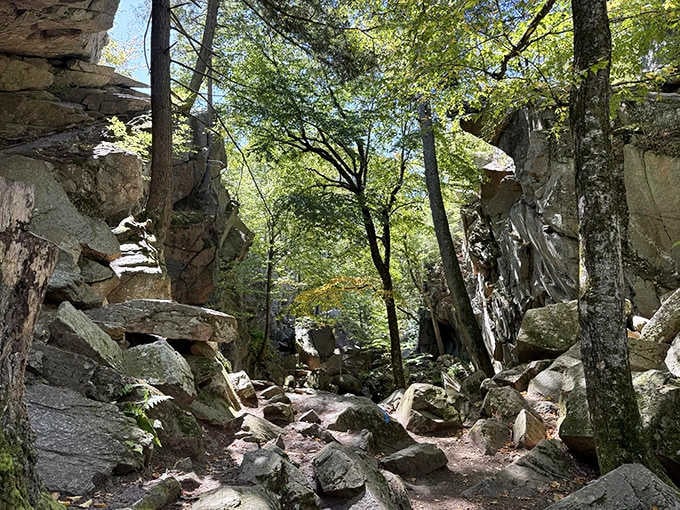 Those granite walls aren't just rocks. They're 14,000-year-old storytellers with a lot to say.
