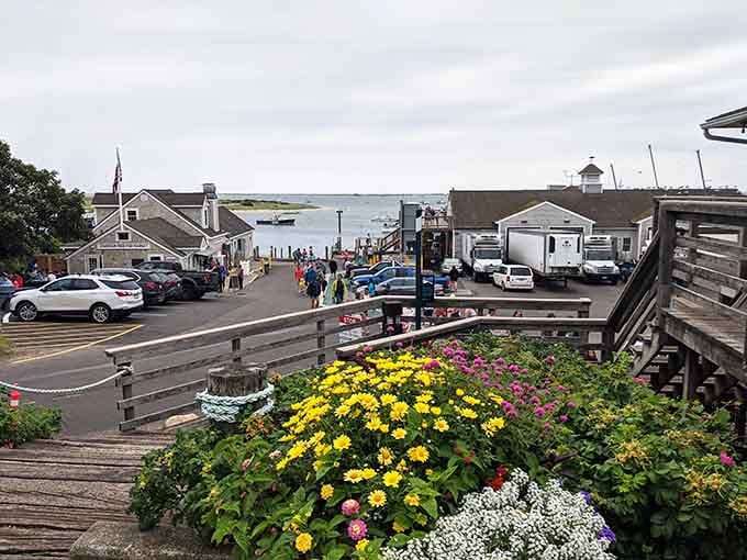 Fresh flowers, working boats, and the smell of the sea. Chatham Fish Pier doesn't try to impress you. It just does.
