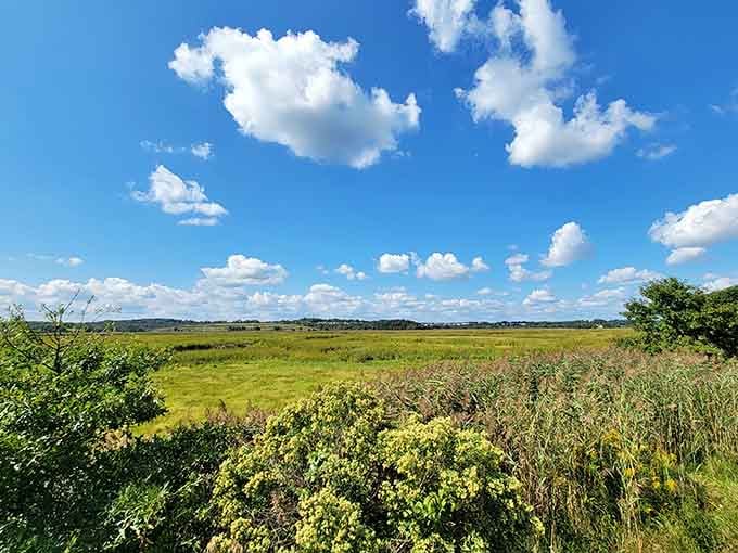 Wide open skies, endless green marsh, and not a single email notification in sight. Pure paradise.