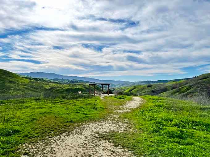 A wooden shelter, endless green hills, and zero emails. This is what winning looks like.