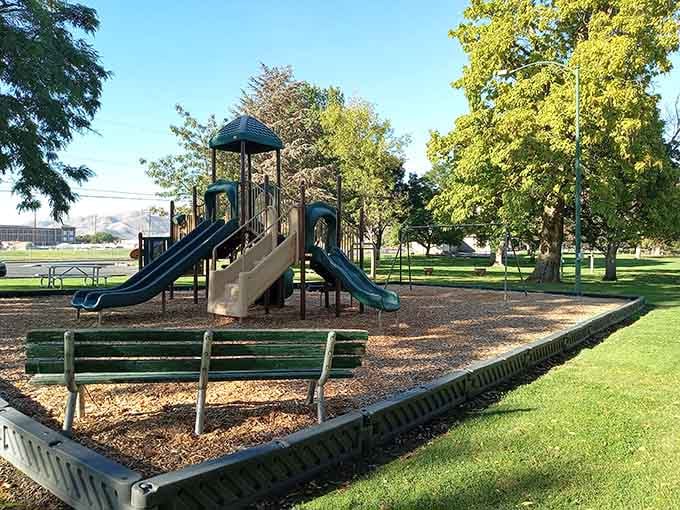 Community parks with actual grass and shade trees where kids play outside instead of staring at screens all day.