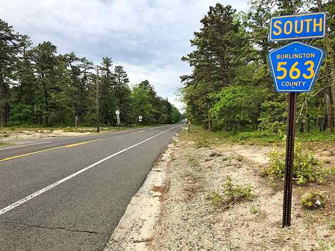 Dense Pine Barrens forest flanking both sides, nature's way of saying you've officially left civilization behind.