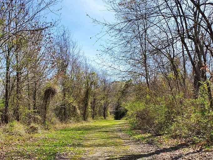 Every great adventure starts with a simple path—though this one leads somewhere your suburban sidewalk never could.