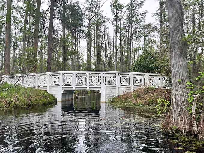 The white bridge that stopped a thousand visitors mid-paddle. Yes, it's even prettier in person.
