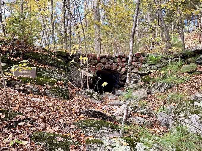 A handsome old stone arch tucked into the woods, quietly outlasting everything built in the last century.