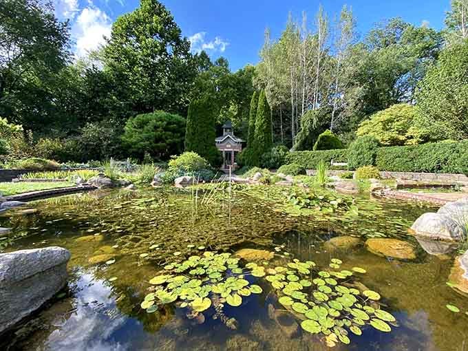 Lily pads, clear water, and total silence. Your phone can wait.