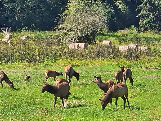 When the whole gang shows up for lunch, and nobody had to make a reservation.