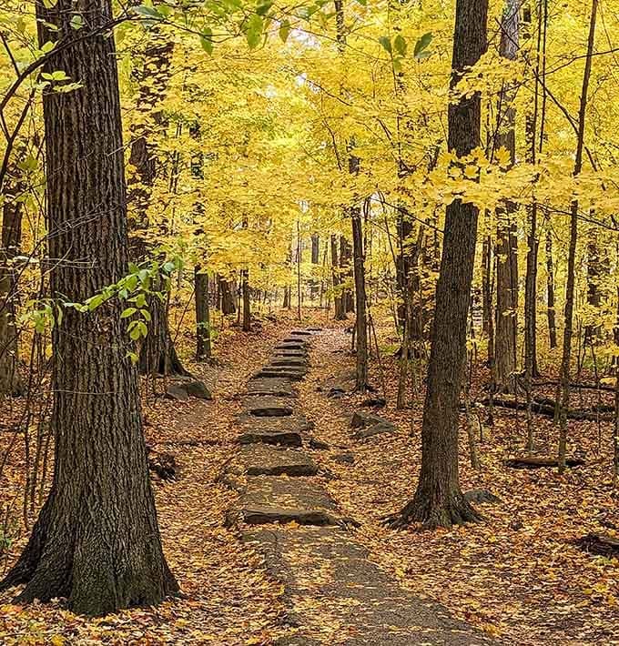 A stone stairway dressed in autumn gold, because even the trail to the top deserves a proper red carpet moment.