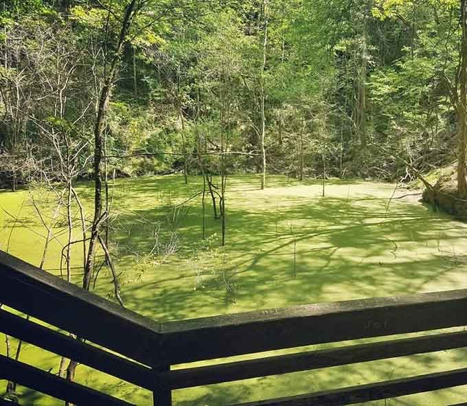 That vivid green water at the bottom isn't a painting. It's gloriously, wonderfully real.