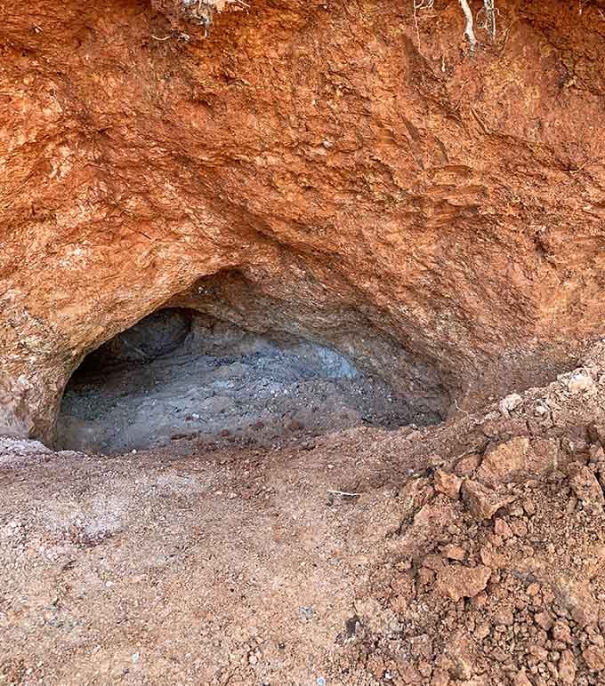 Every pocket in this clay wall is basically a mystery box that nature buried millions of years ago.
