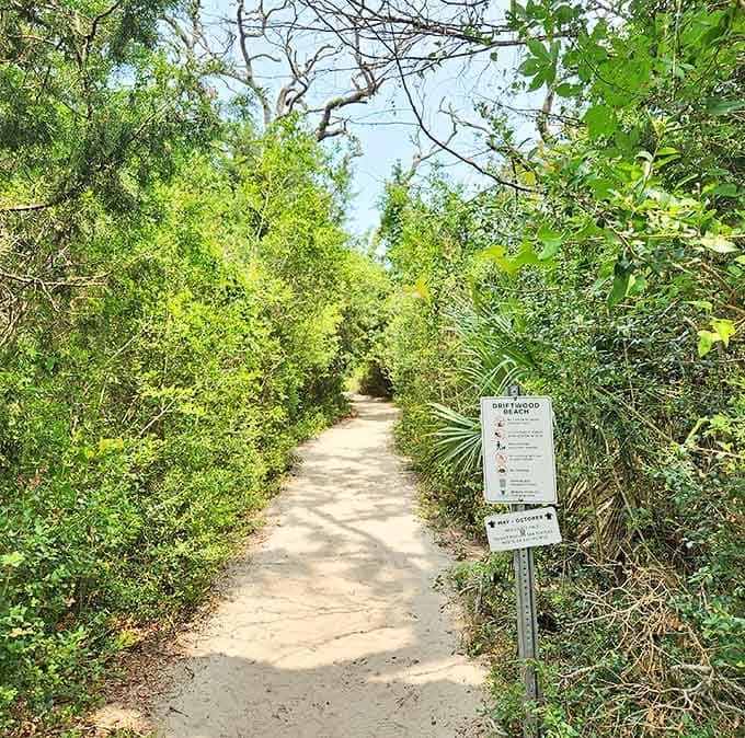 The sandy path whispers, "Something extraordinary is just ahead," and for once, it's not lying.