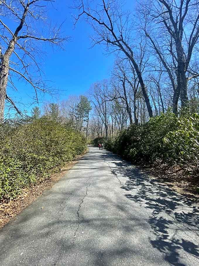 Even the paved sections here feel like nature's compromise with civilization, and honestly, we'll take it.
